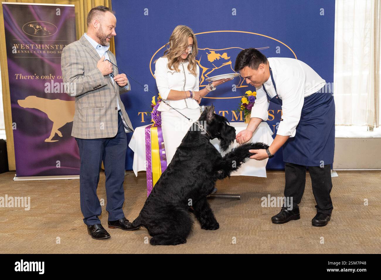 New York, USA. 12th Feb, 2025. Monty, the Giant Schnauzer dog winner of ...