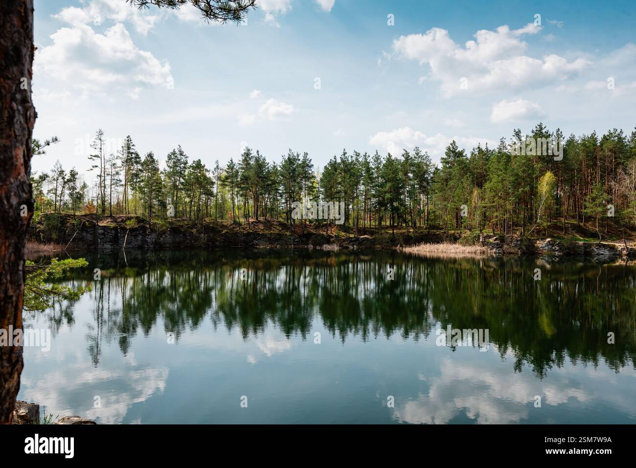 Quarry lake in pine forest. Pine trees on rocky bank of a forest lake ...