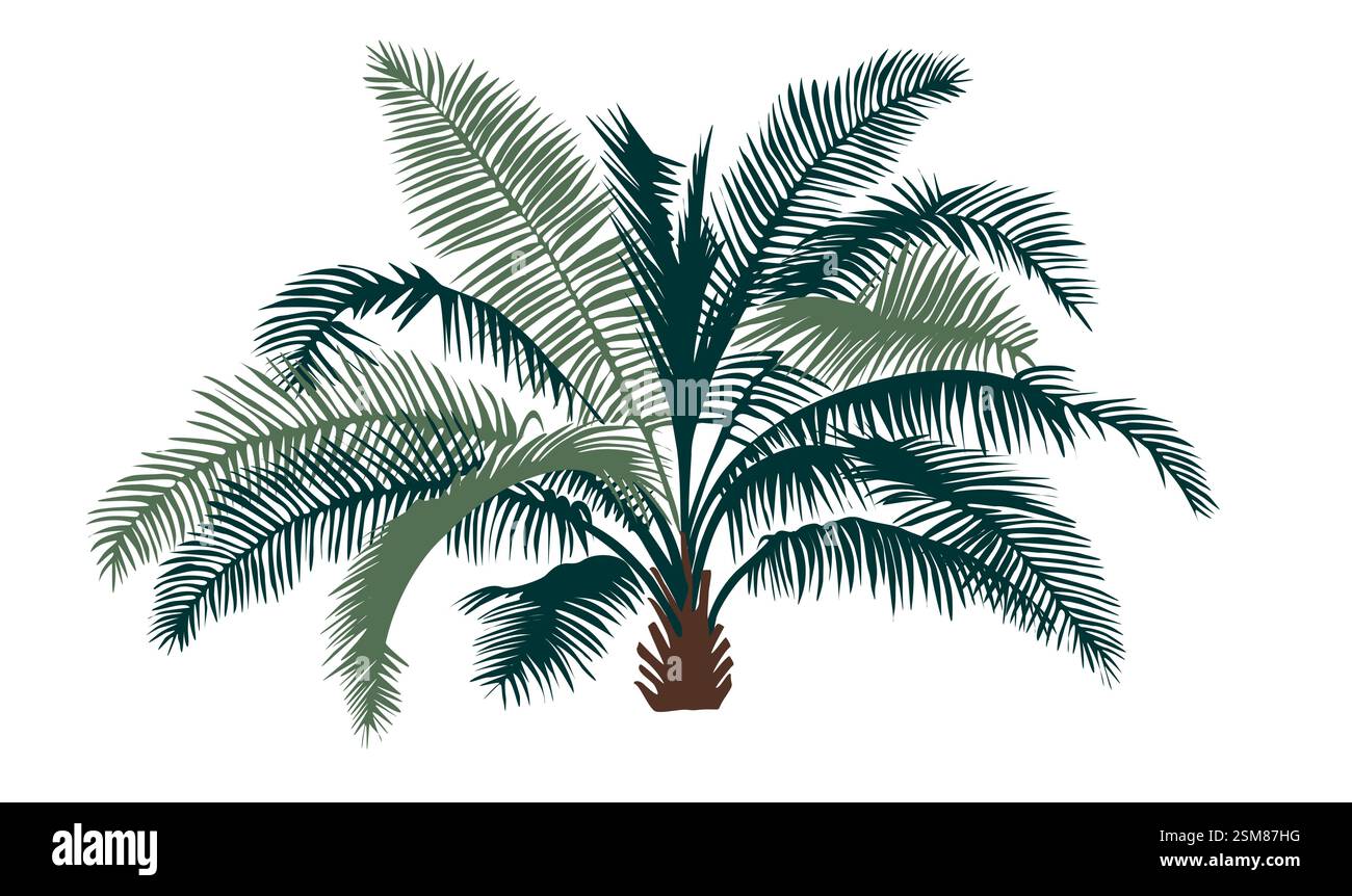 Vintage date palm tree Cut Out Stock Images & Pictures - Alamy
