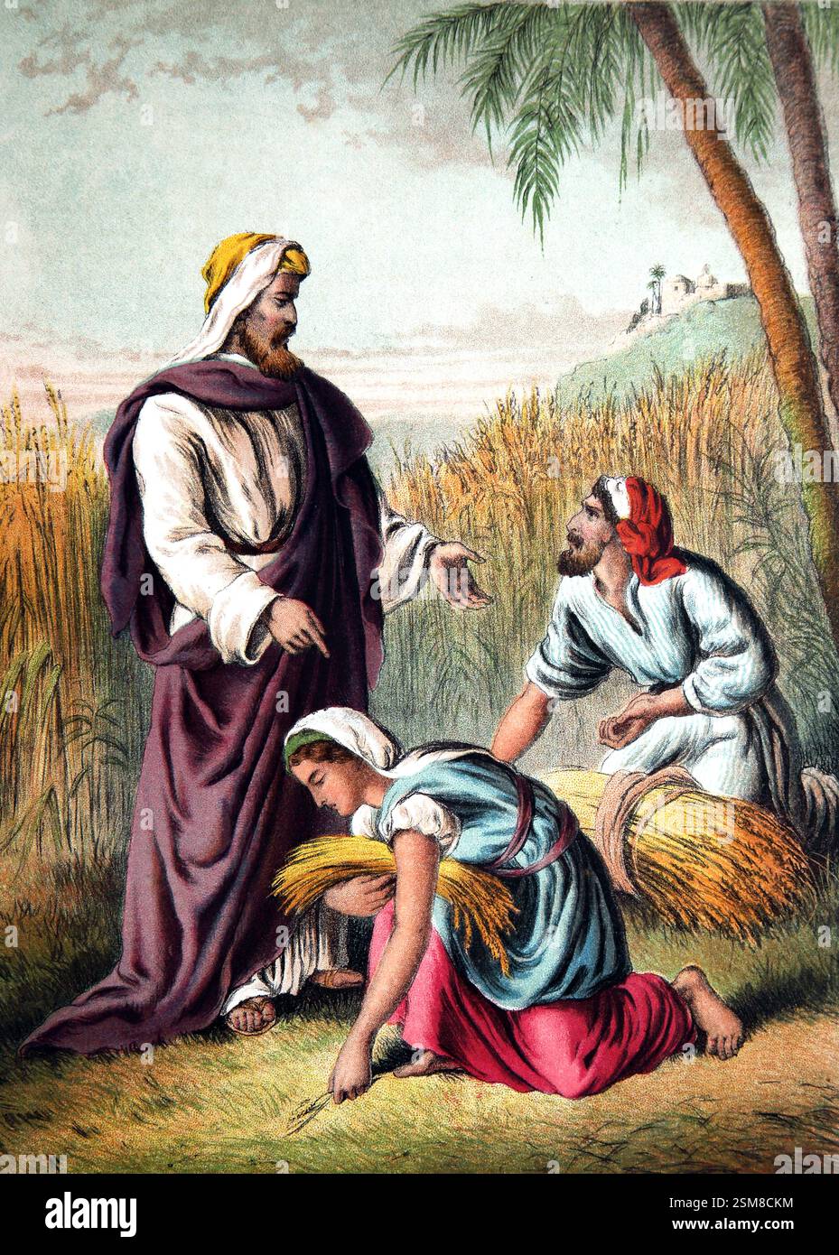 Illustration of Ruth Meeting Boaz in Corn Field Book of Ruth from Antique 19th Century Holy ...