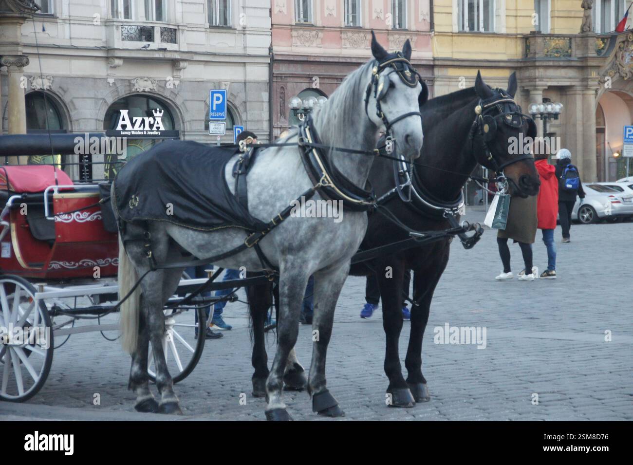 Azra P P. Vintage postcard depicting a Fiaker carriage. A horse-drawn ...
