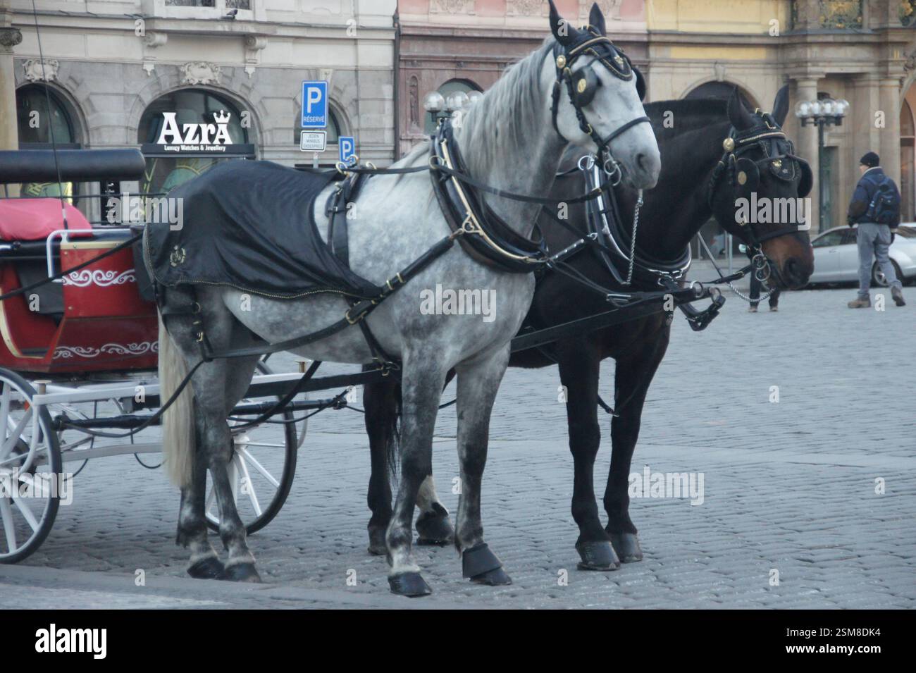 Azra P. Fiaker, a horse-drawn carriage in Vienna, Czech Republic. This ...