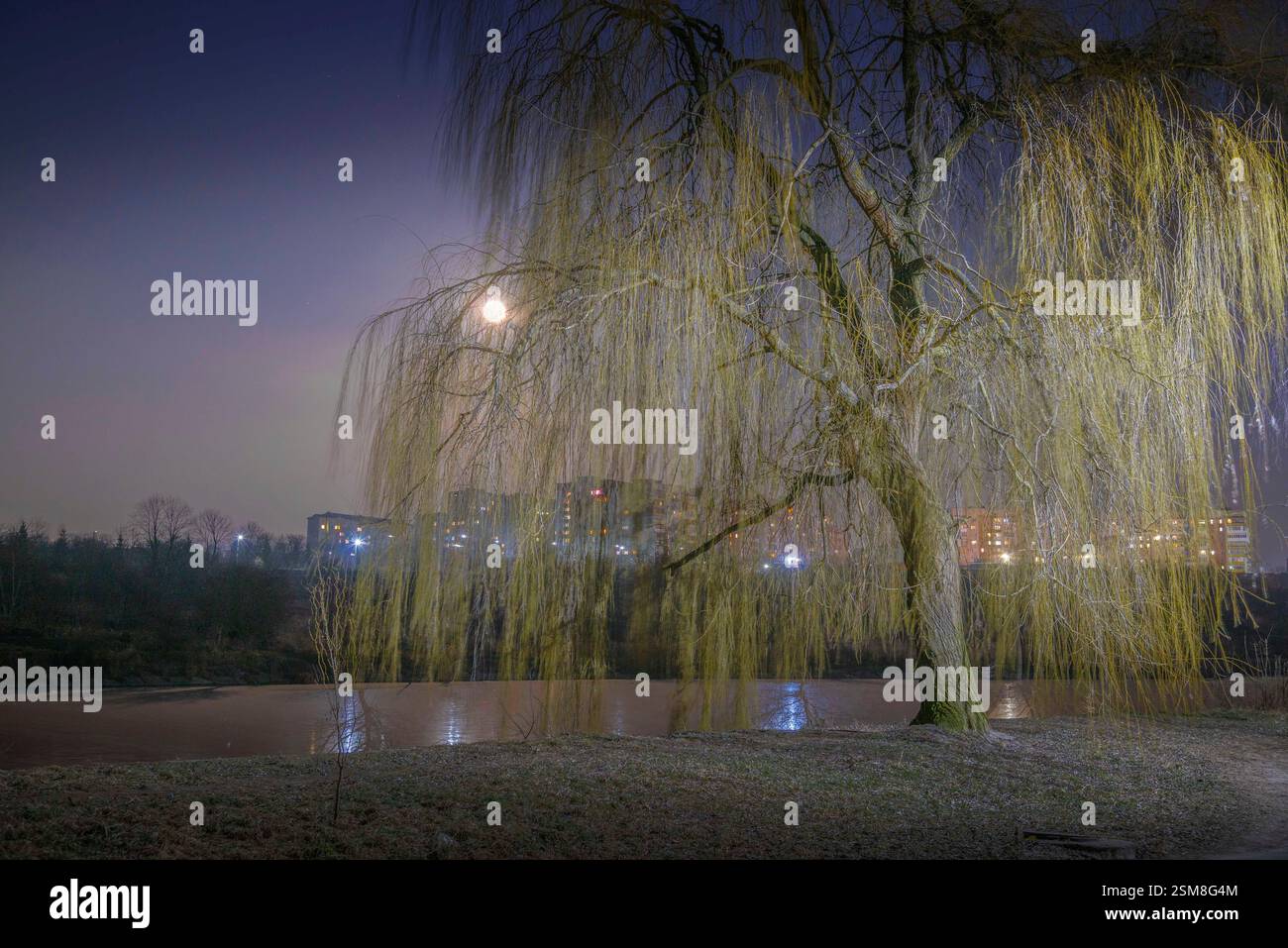 Lviv, Lviv, Ukraine. 12th Feb, 2025. February 12, 2025, Lviv region ...