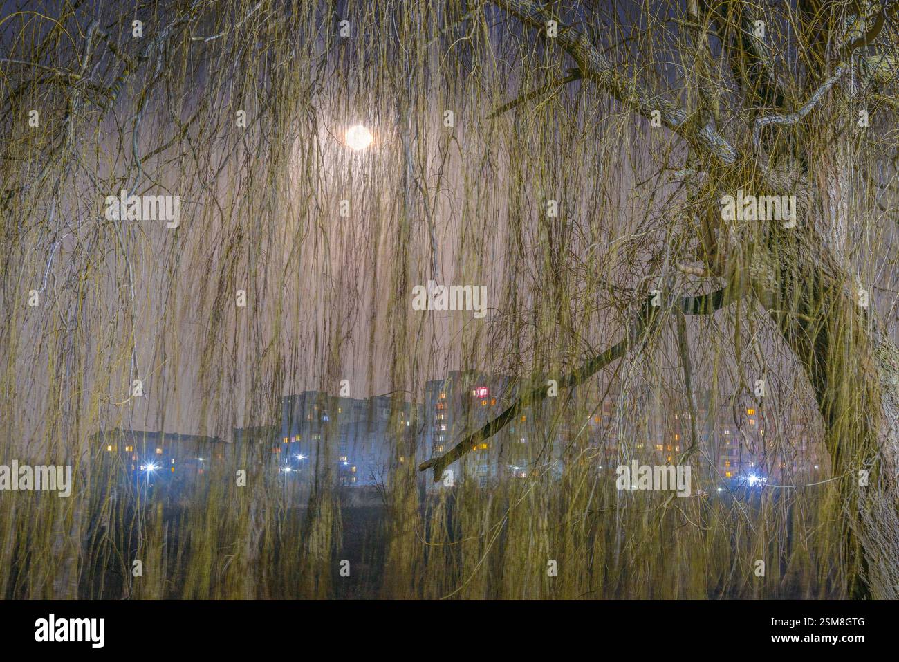 Lviv, Lviv, Ukraine. 12th Feb, 2025. February 12, 2025, Lviv region ...