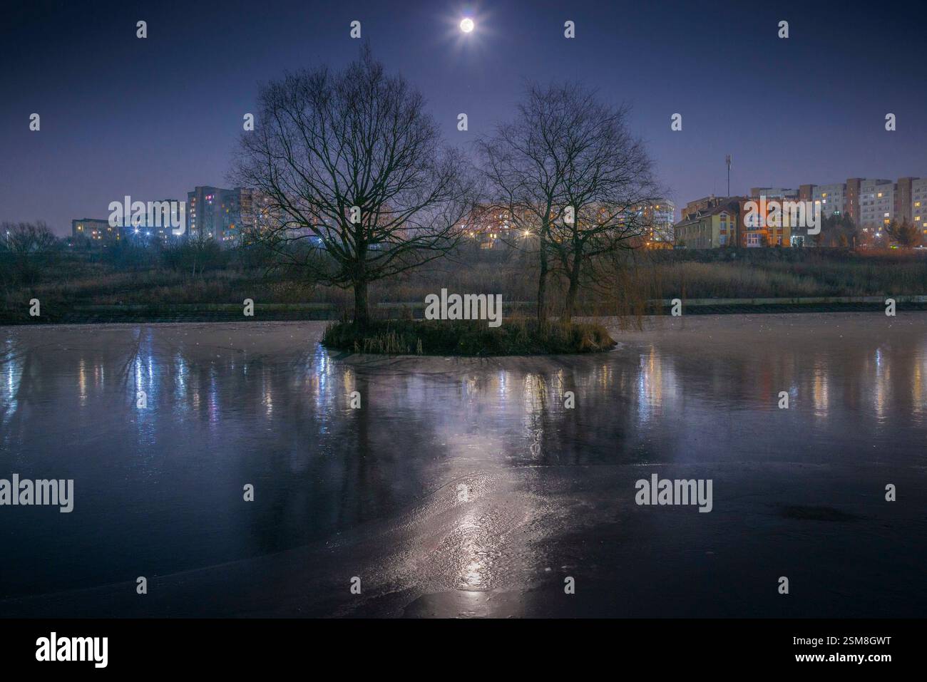 Lviv, Lviv, Ukraine. 12th Feb, 2025. February 12, 2025, Lviv region ...