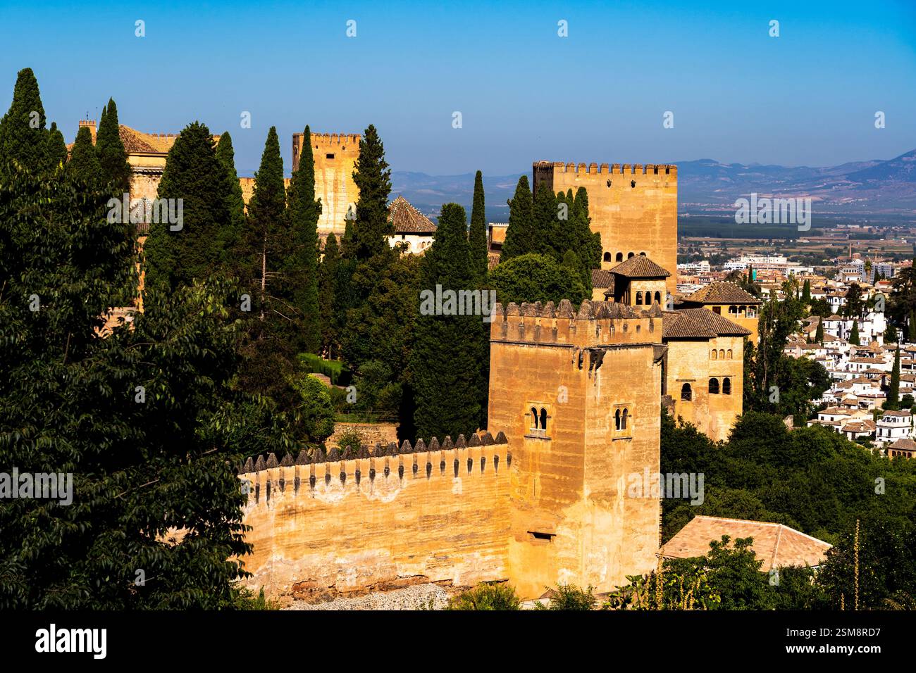 A Captivating View of the Alhambra Palace Towers and Lush Cypress Trees ...