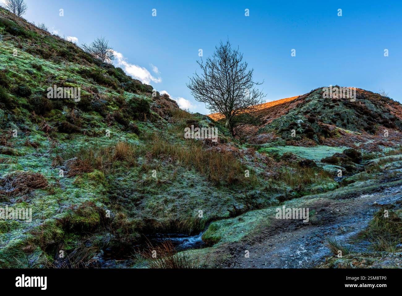 Frost kissed trail hi-res stock photography and images - Alamy
