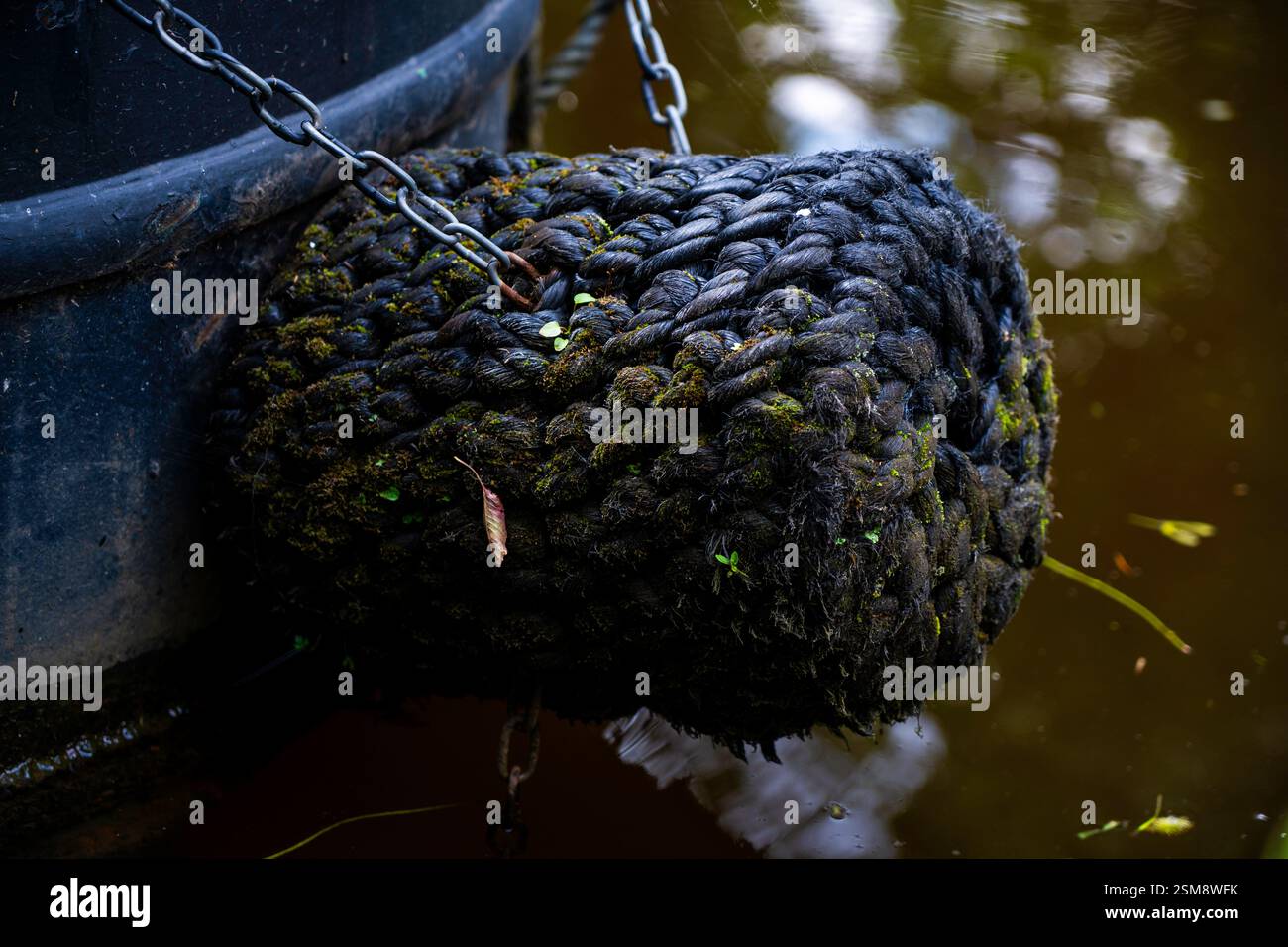Serene dockside visuals hi-res stock photography and images - Alamy