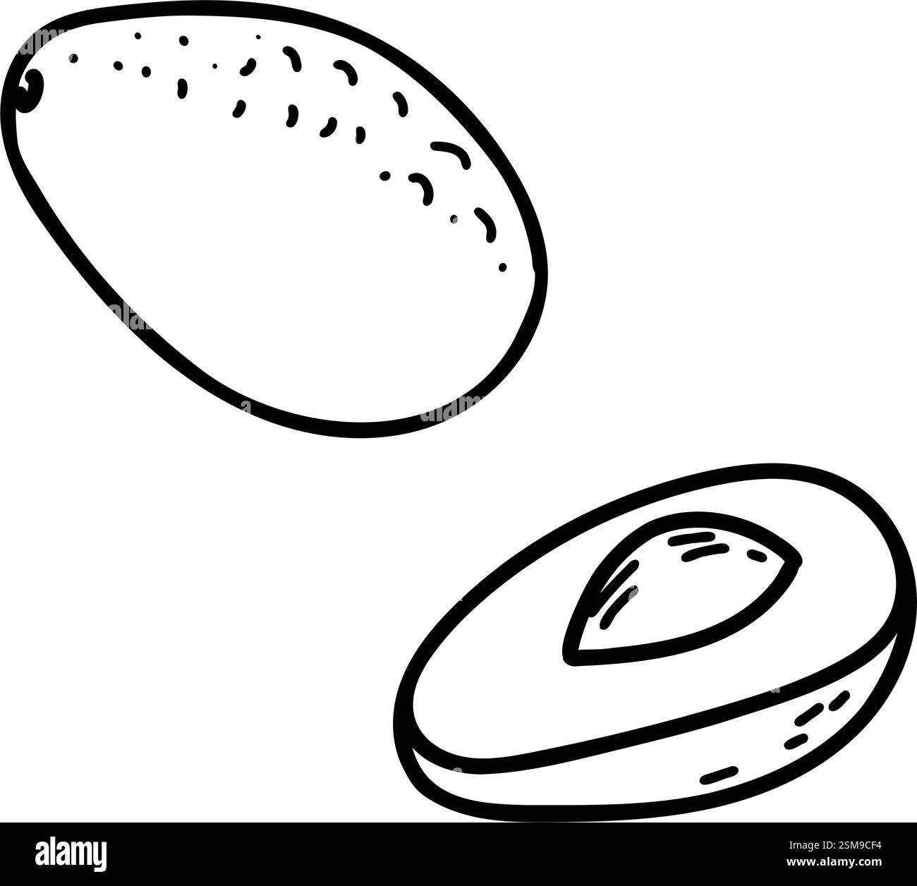 Avocado vector illustration in Doodle style. Whole and half fruit Slice ...