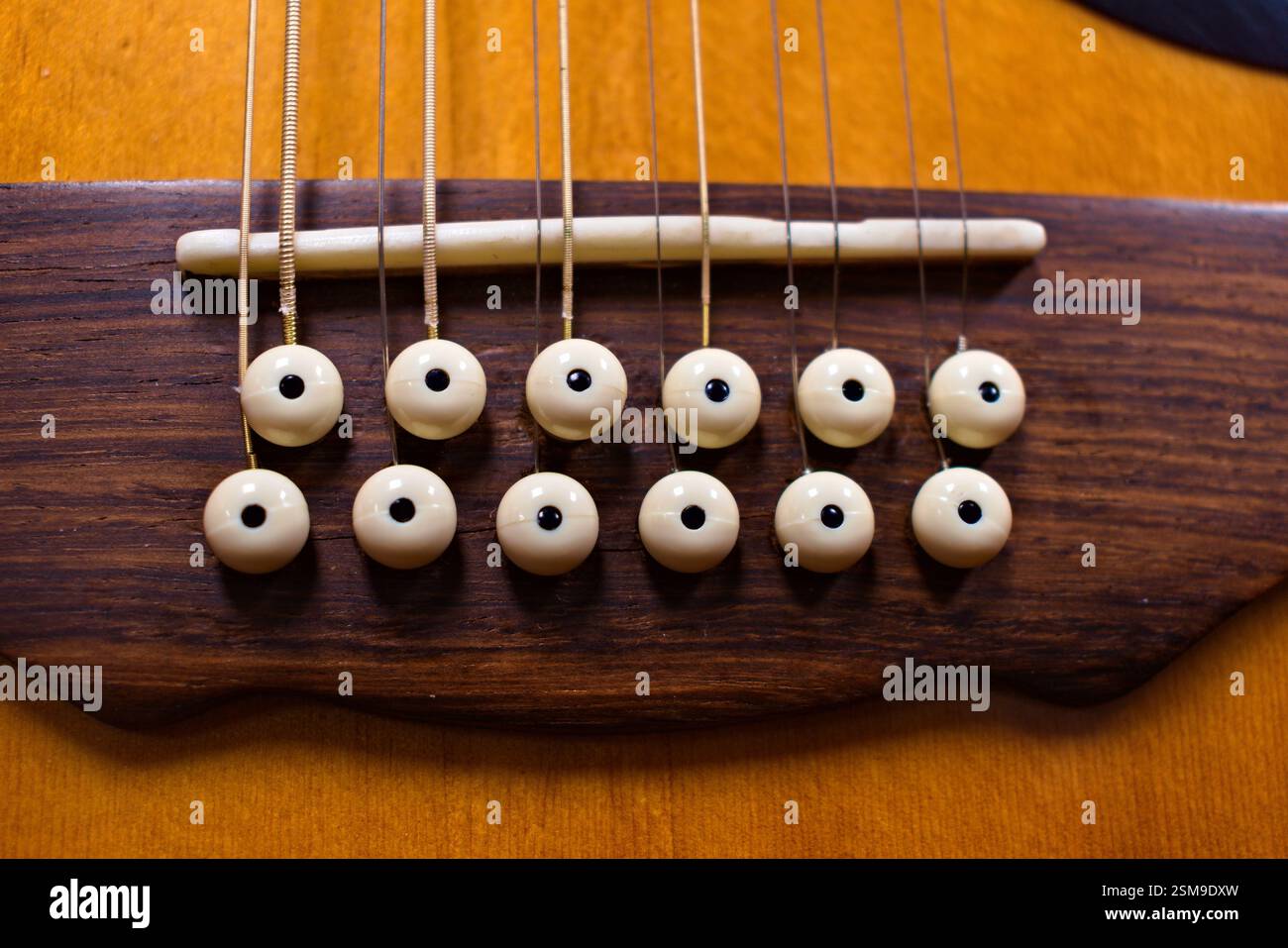 An overhead picture of the bridge, pins, and strings from a twelve string guitar Stock Photo - Alamy