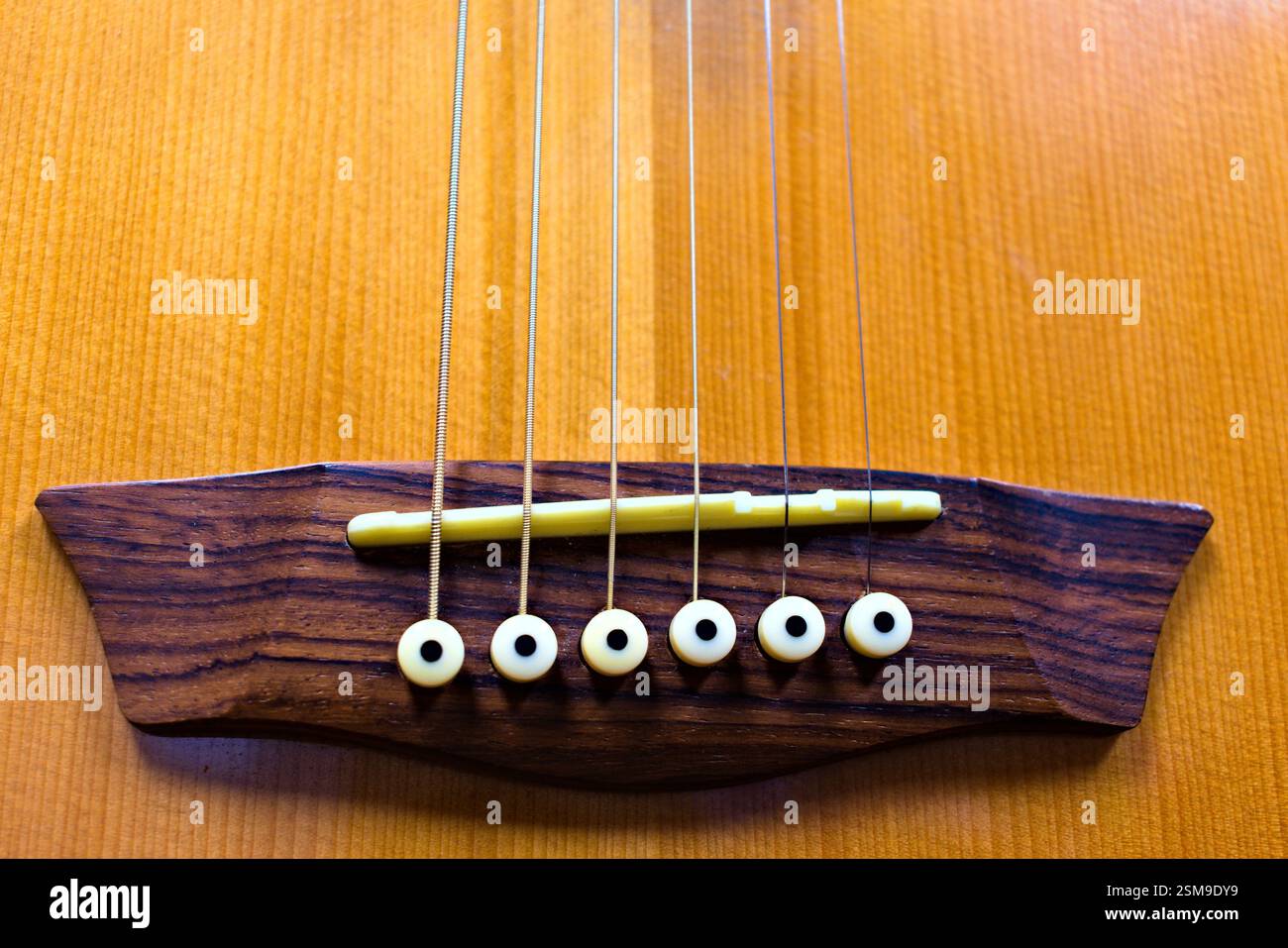 An overhead picture of the bridge, pins, and strings from a six string ...