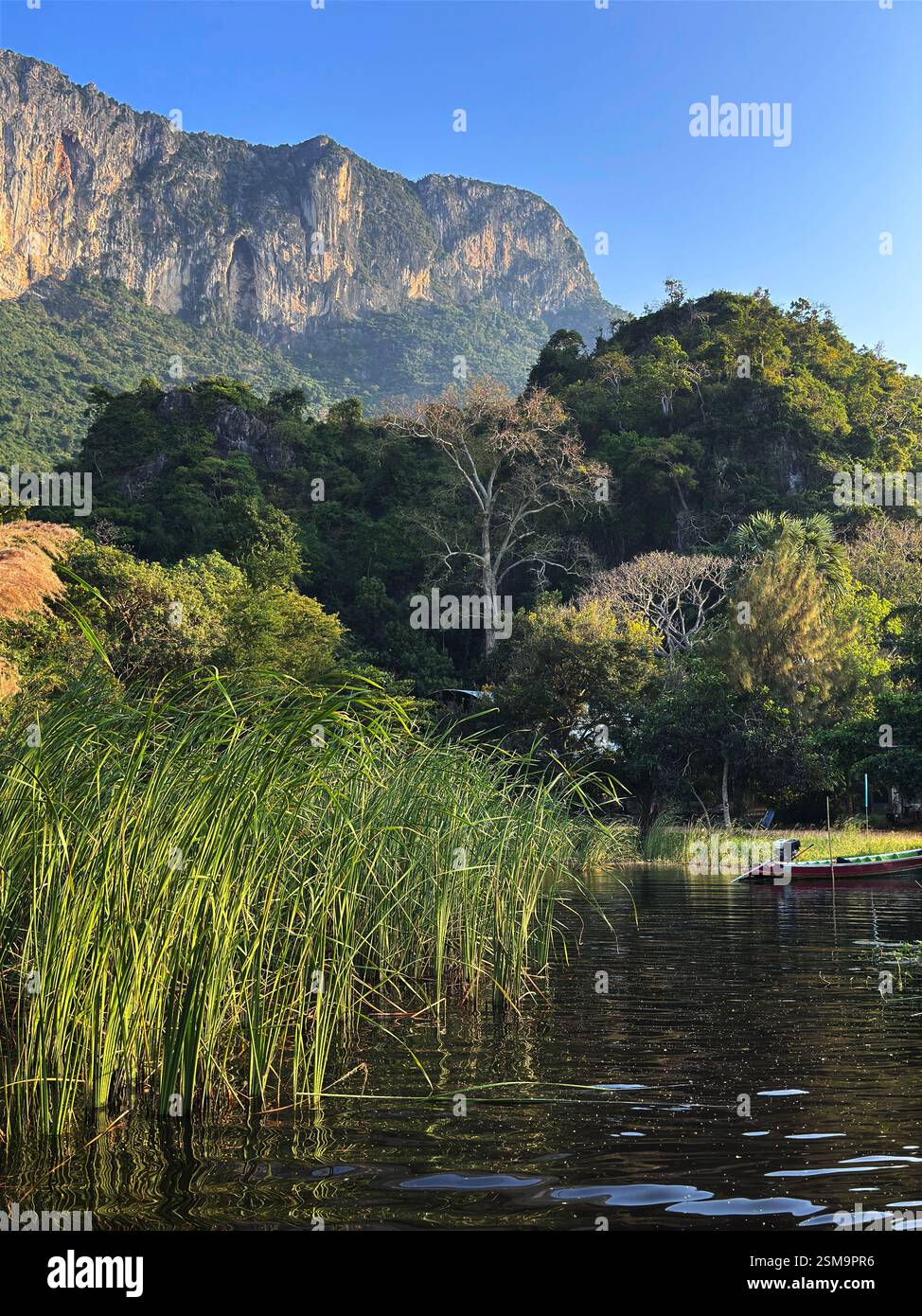 Limestone mountains rise above reeds growing in the inland waterways of ...