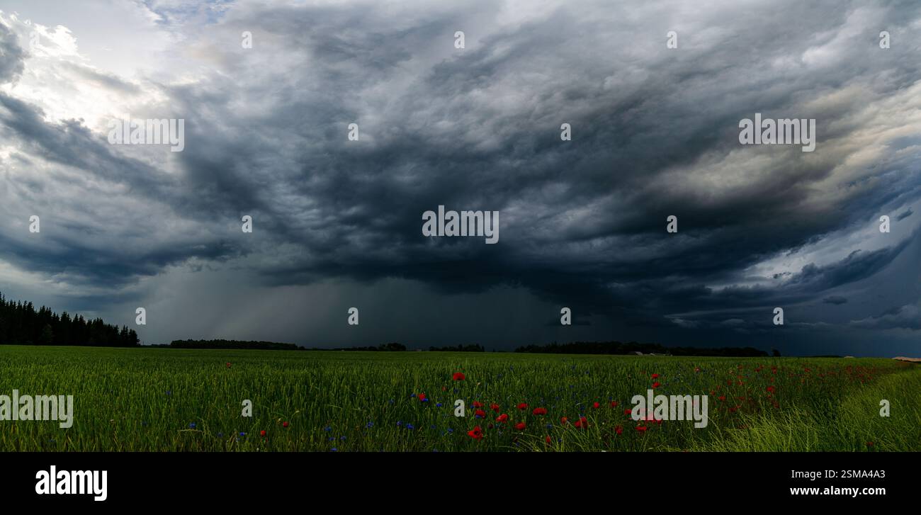 Storm clouds over field, tornadic supercell, extreme weather, dangerous ...
