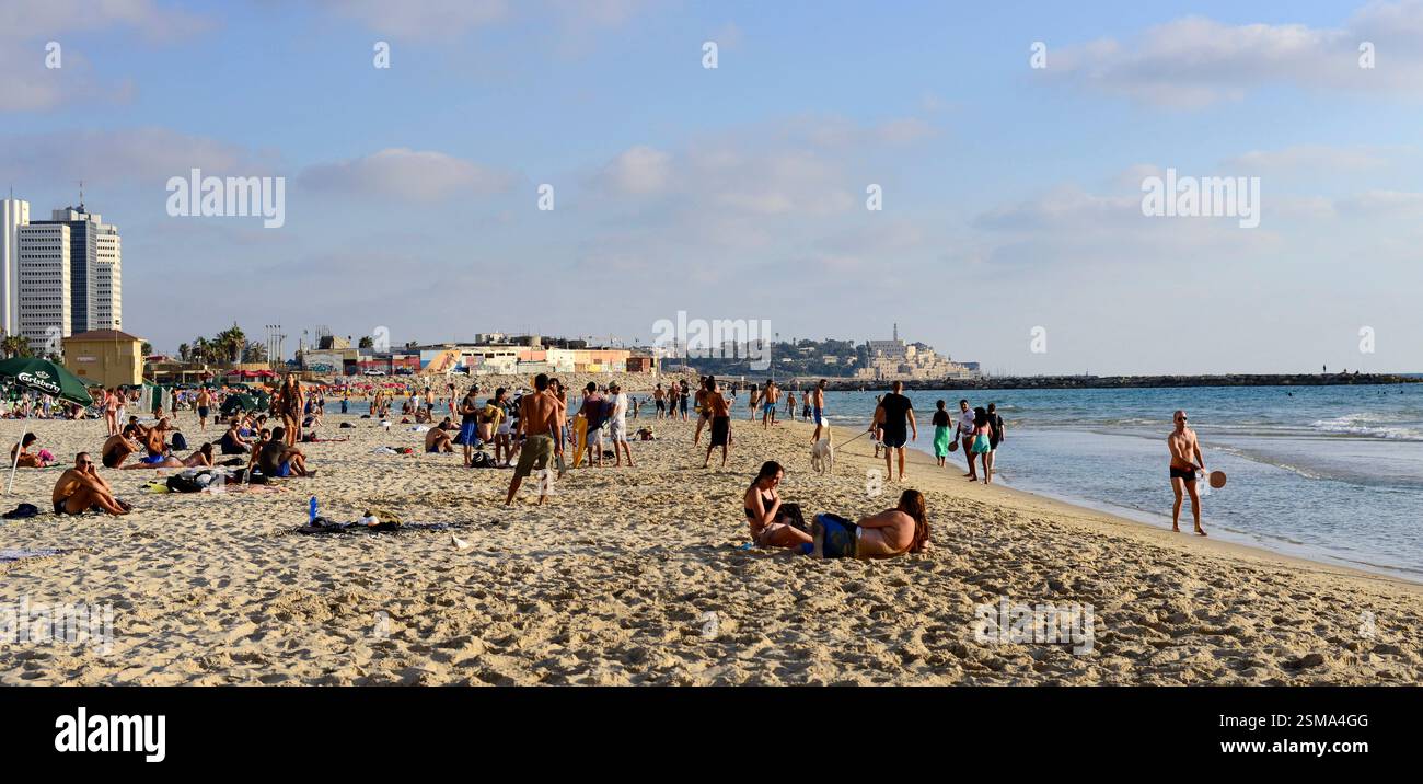 Women sunbathing on the beach in Tel-Aviv, Israel Stock Photo - Alamy