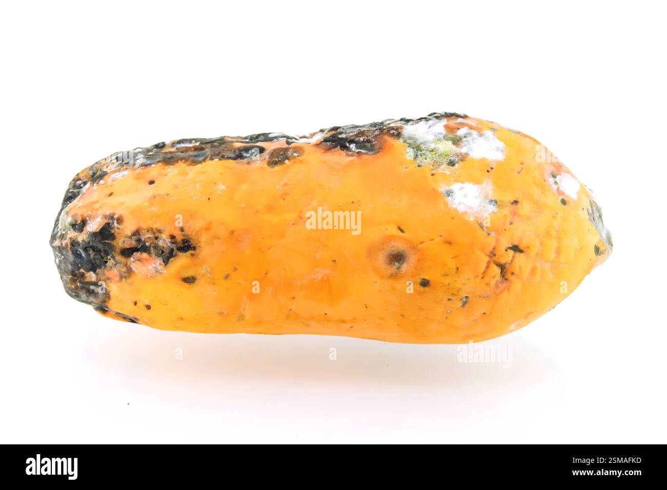 rotten papaya isolate on white background Stock Photo - Alamy