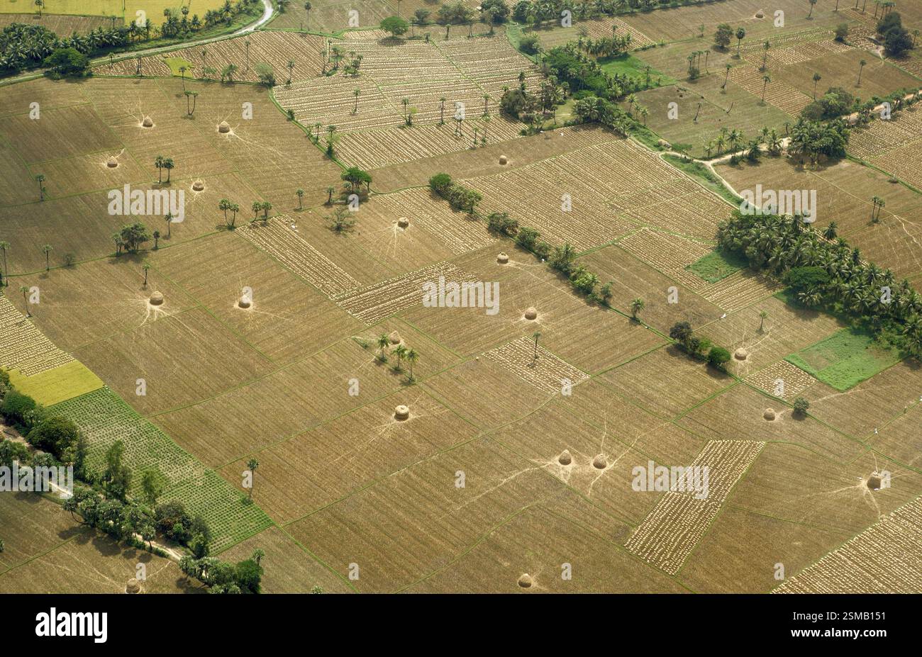 Aerial view of uncultivated field, Andhra Pradesh, India, Asia Stock ...