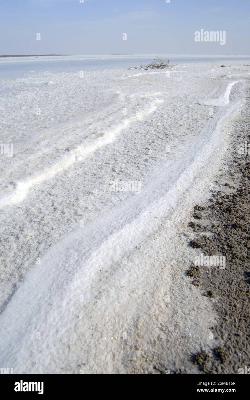 Salt residue, Great Rann of Kutch, Kutch, Gujarat, India, Asia Stock ...