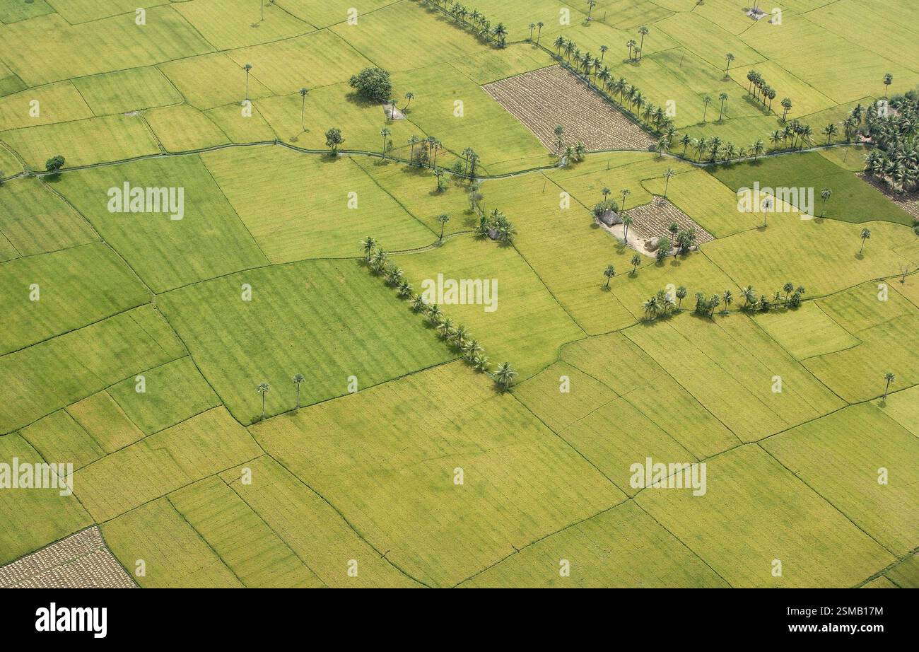 Aerial view of field, Andhra Pradesh, India, Asia Stock Photo - Alamy