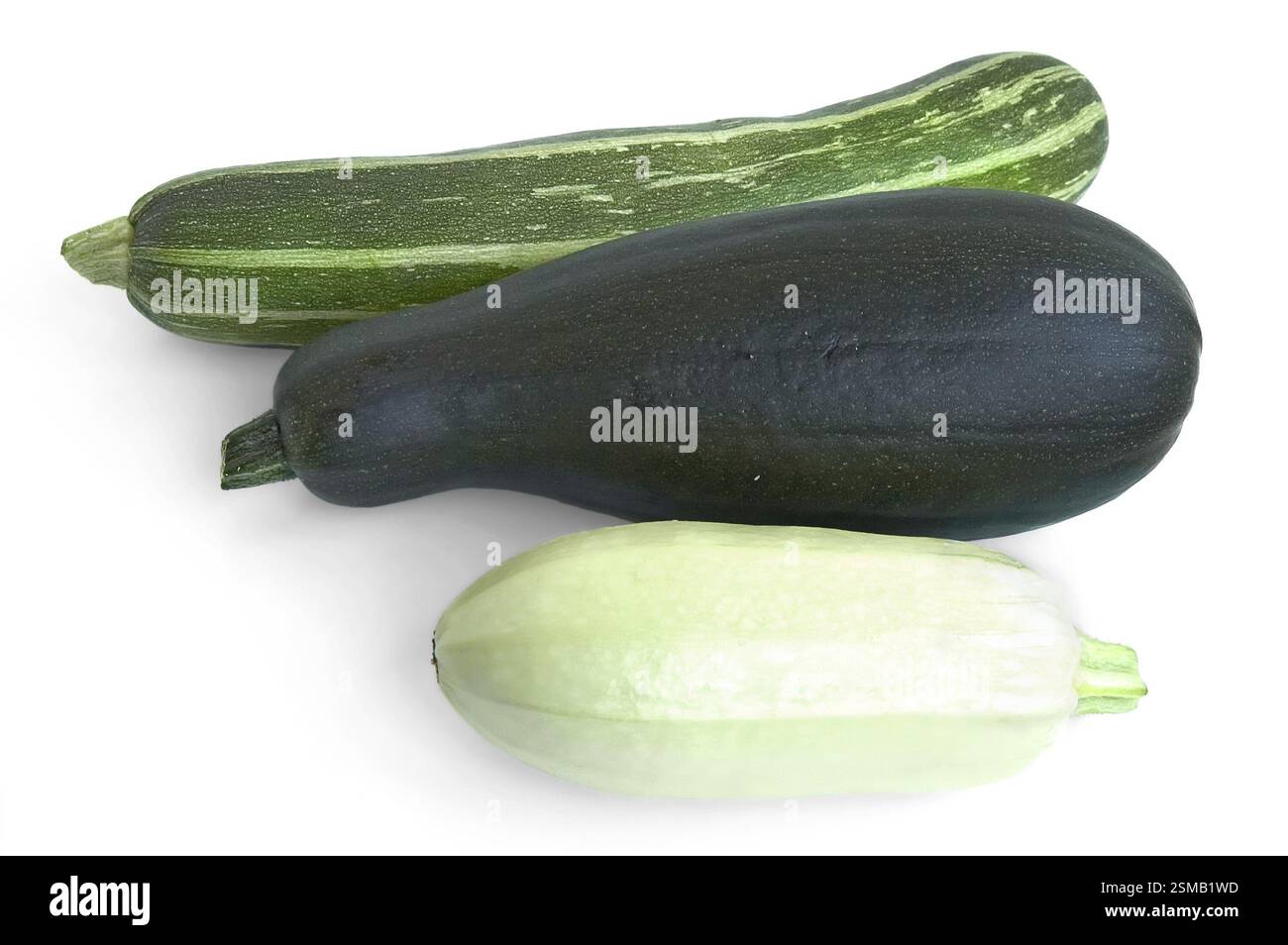 Two green zucchini different varieties and one white isolated on white ...