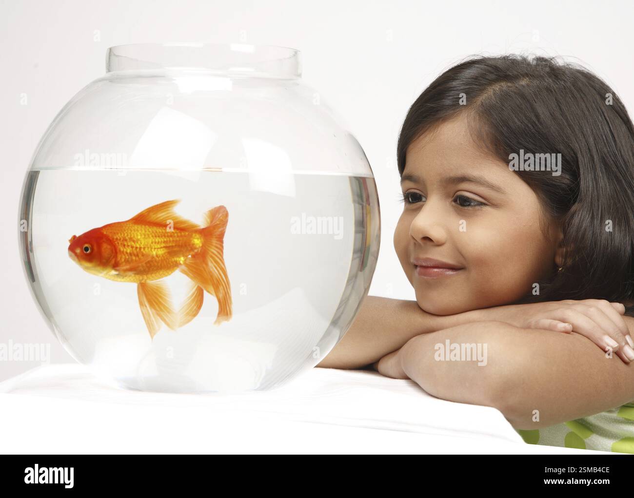 Eight year old girl watching movement of gold fish in glass bowl MR ...