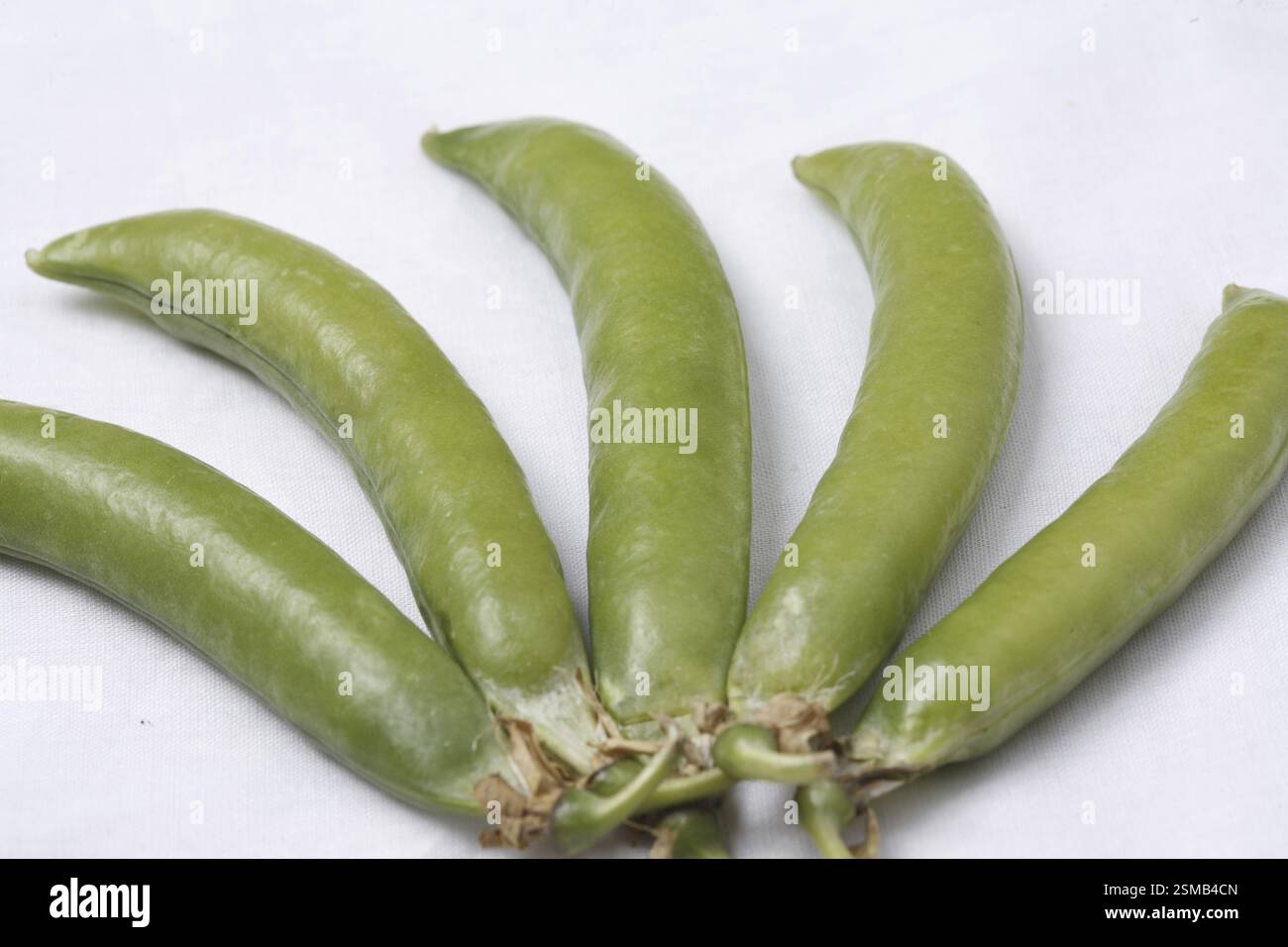 Vegetable, Green Pea pods Pisum sativum arranged as five fingers of ...