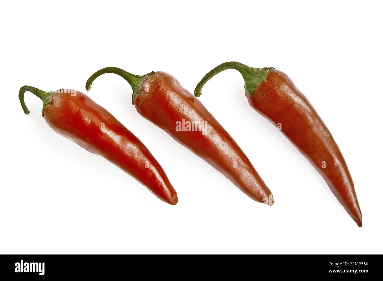 Three red hot peppers isolated on white background Stock Photo - Alamy