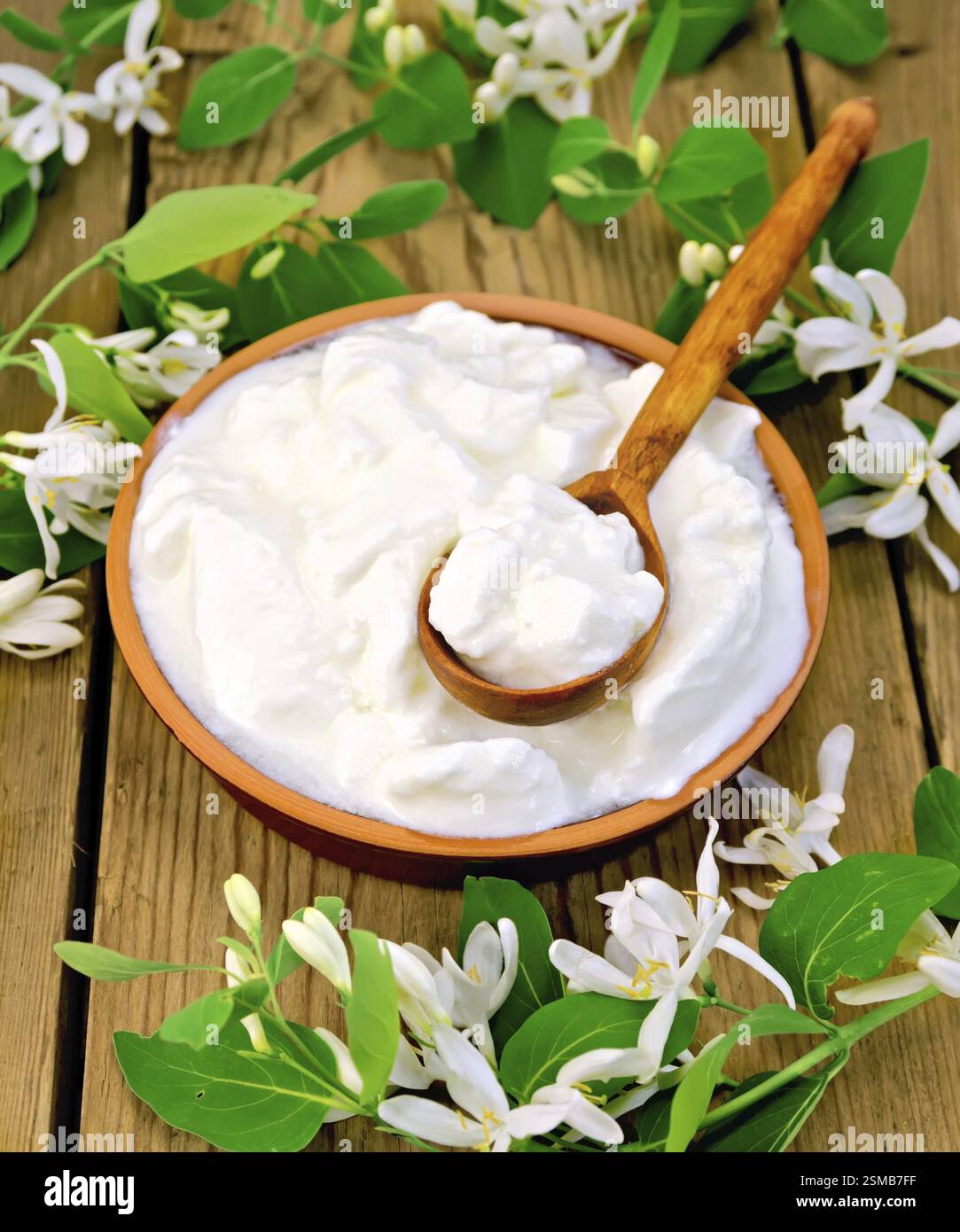 Thick yogurt in a clay bowl with spoon and white flowers of honeysuckle ...