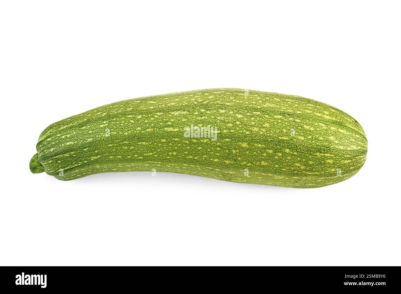 The green striped zucchini isolated on white background Stock Photo - Alamy