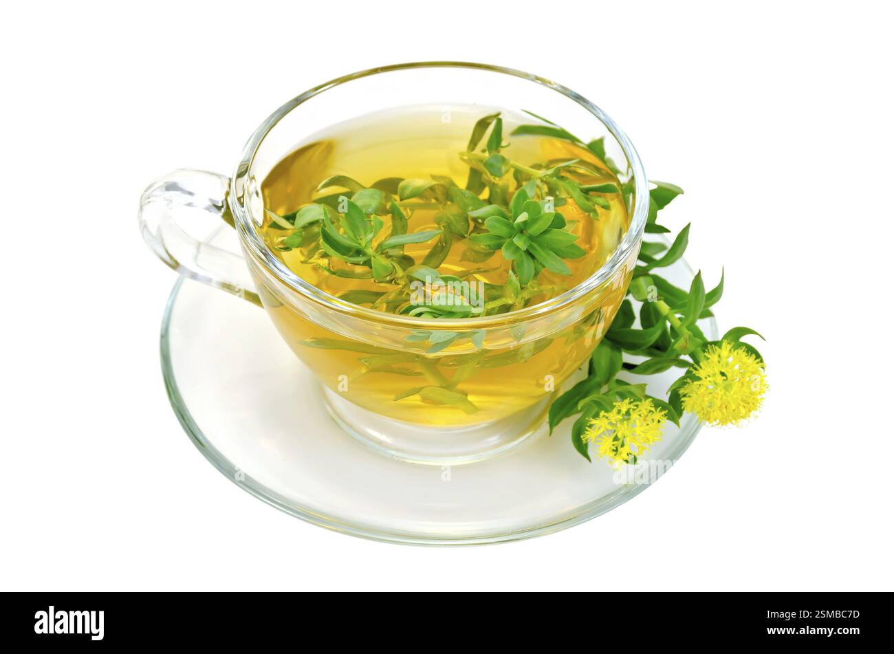 Healing herbal tea in glass cup with flowers Rhodiola rosea is isolated ...