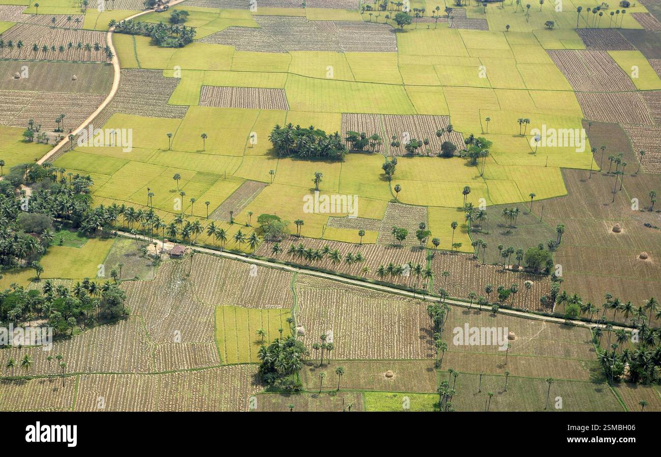 Aerial view of tilled and cultivated field, Andhra Pradesh, India, Asia ...