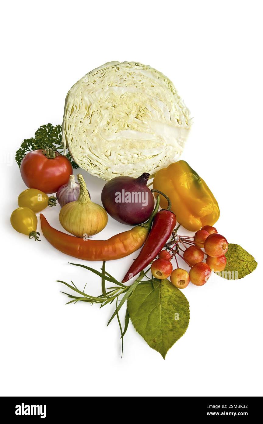 Different colored peppers Cut Out Stock Images & Pictures - Alamy