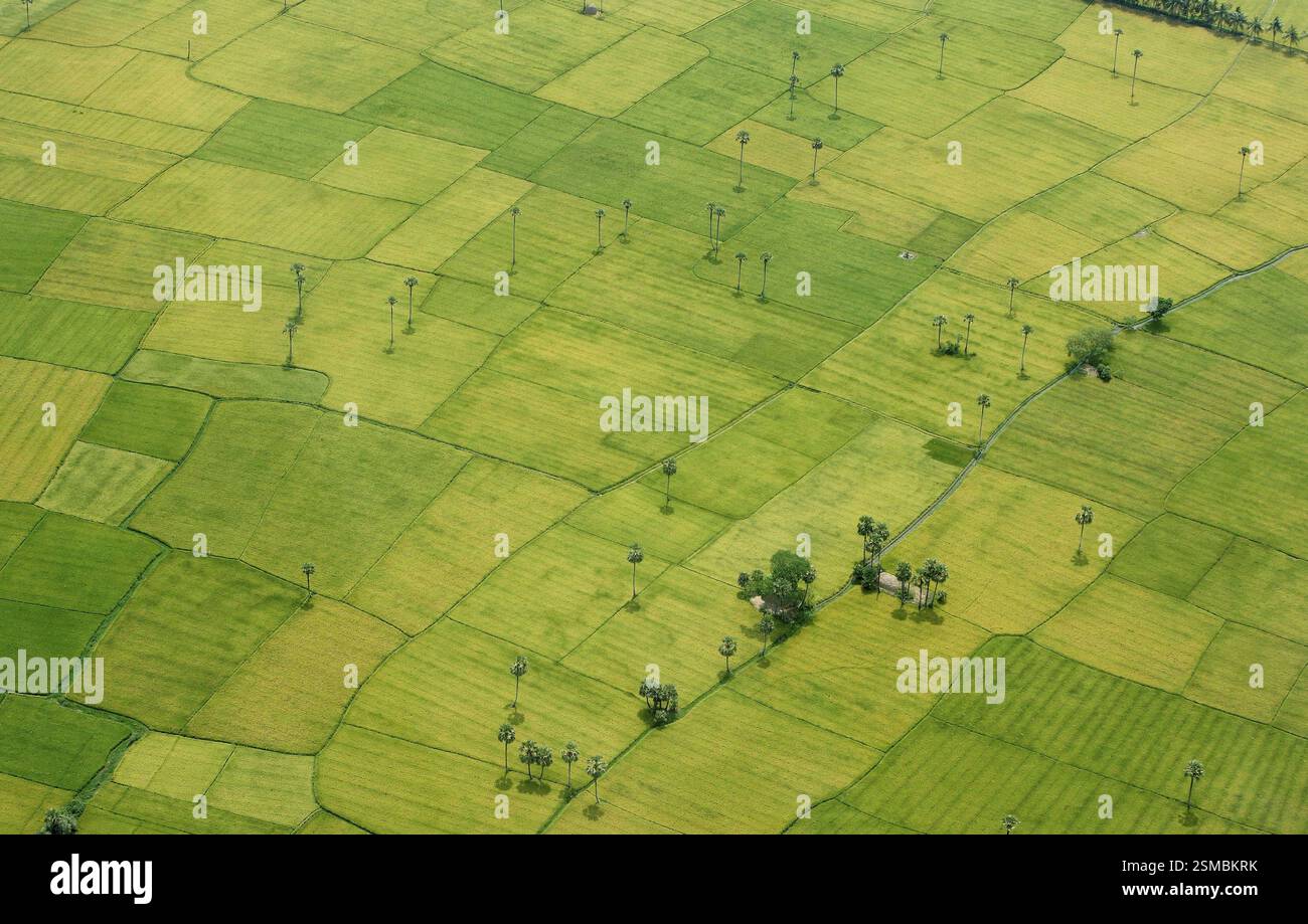 Aerial view of field, Andhra Pradesh, India, Asia Stock Photo - Alamy