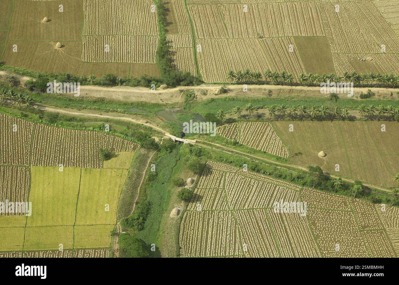 Aerial view of tilled field, Andhra Pradesh, India, Asia Stock Photo ...