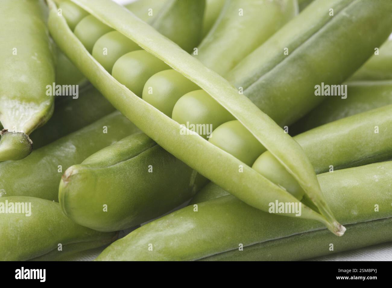 Vegetable, Green Pea pod Pisum sativum slightly opened pod kept on ...