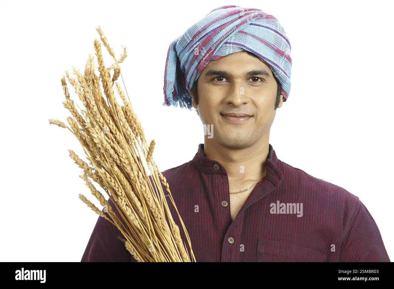 Rich Indian farmer holding harvested golden wheat crops gamcha tied on ...