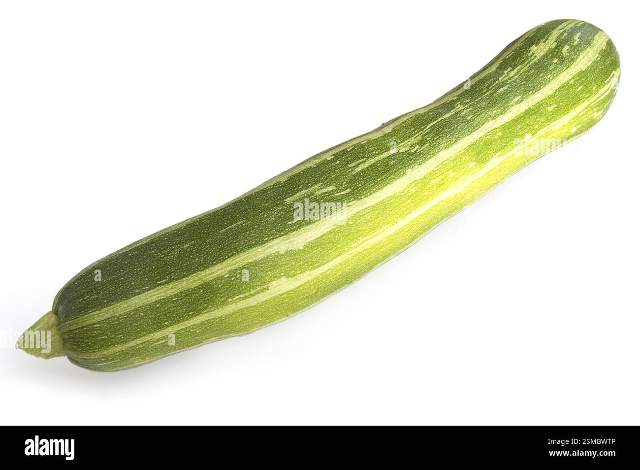 One green striped zucchini isolated on a white background, Russia ...