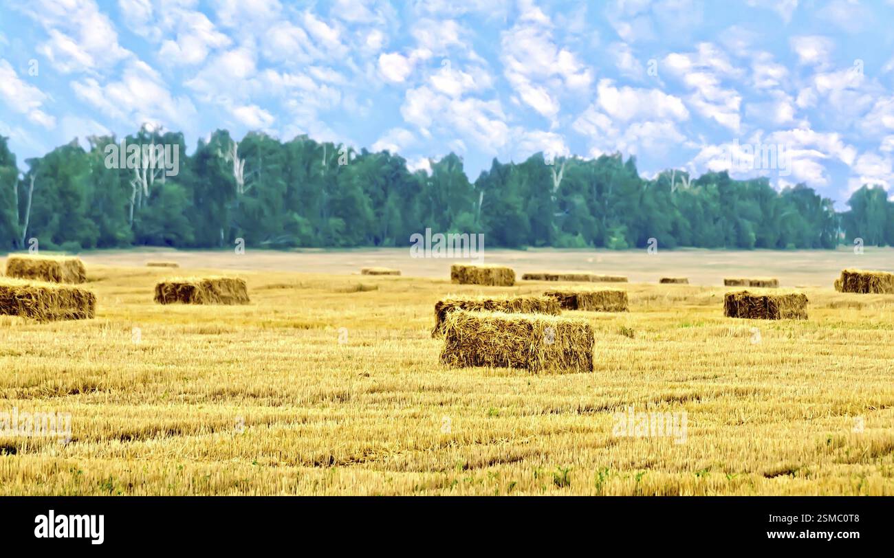 Rectangular compressed bales of straw on a background of trees, blue ...