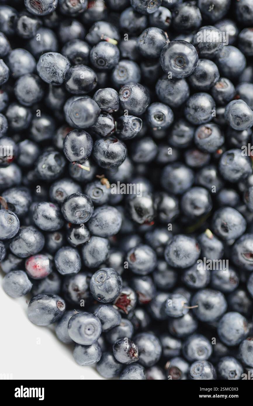 Vertical arrangement of fresh blueberries closely packed together Stock ...