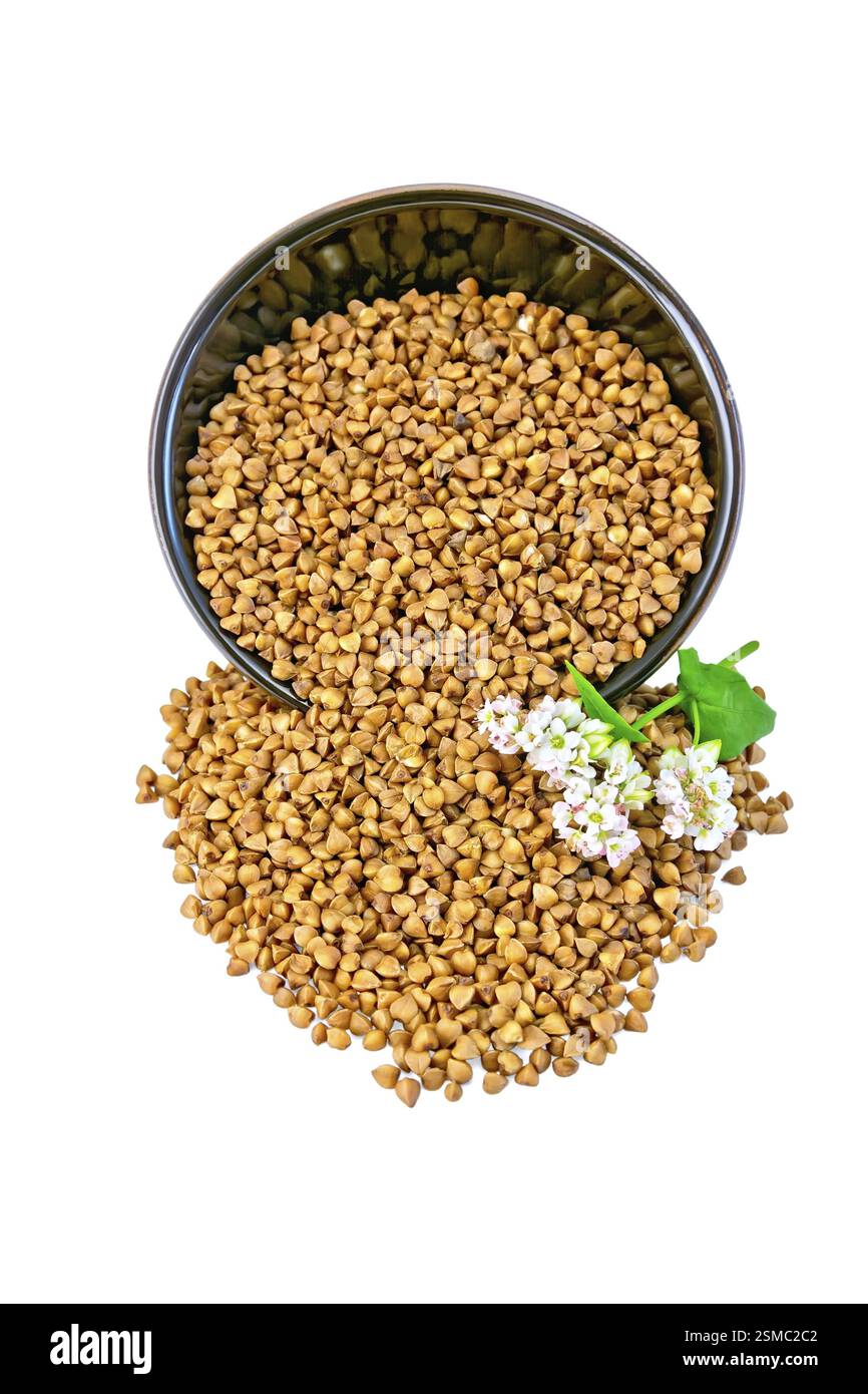 Buckwheat in a brown bowl with buckwheat flower isolated on white ...