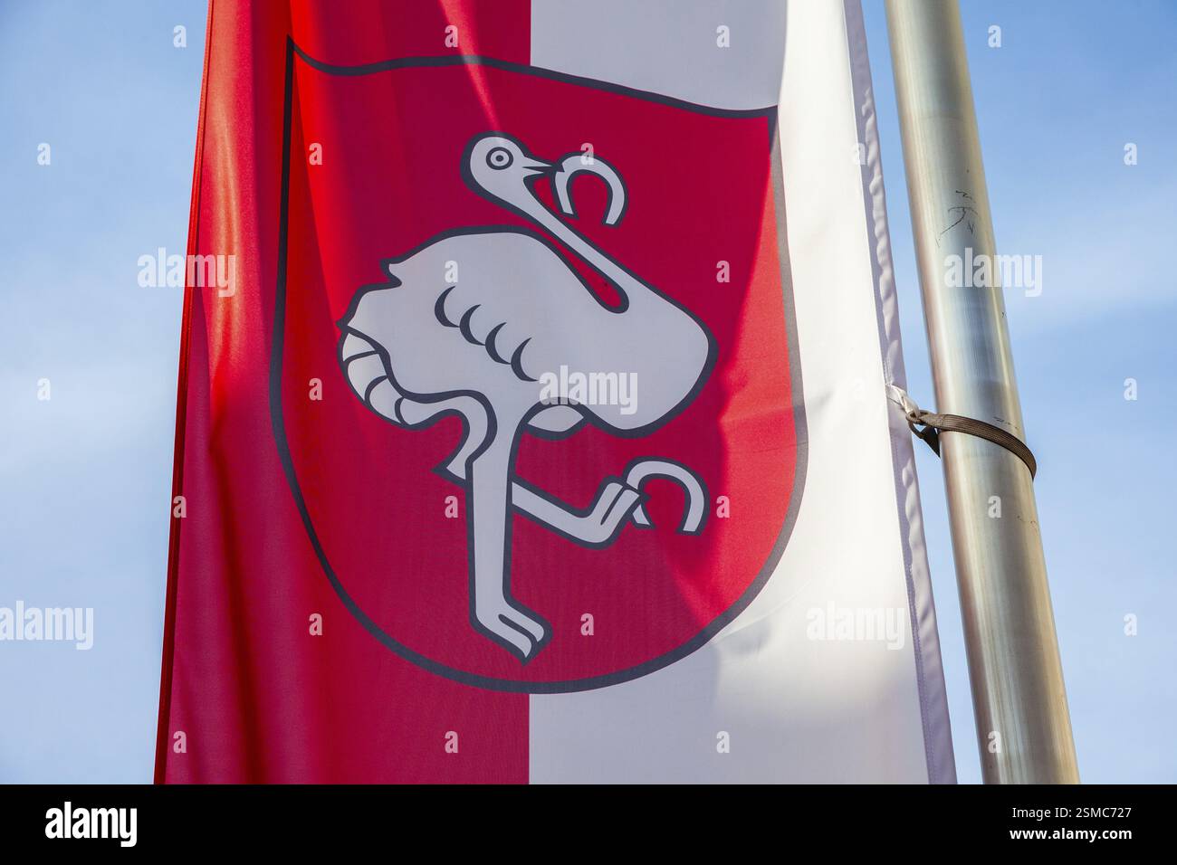 Flag with coat of arms of the city of Leoben, heraldic animal bird ...