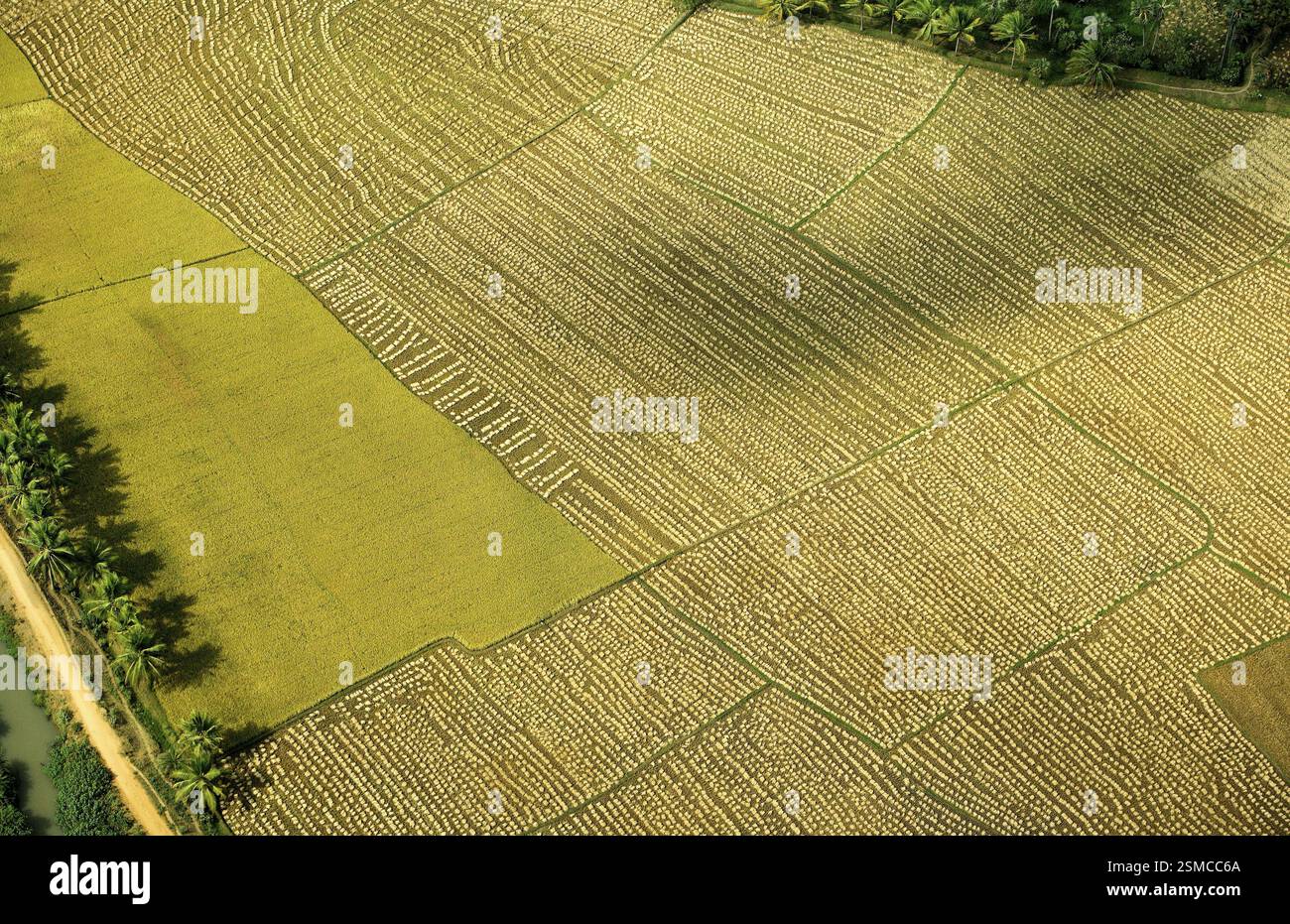 Aerial view of tilled field, Andhra Pradesh, India, Asia Stock Photo ...