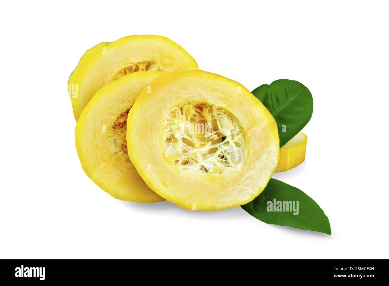 Ripe yellow squash cut into slices with two green leaves of lemon ...