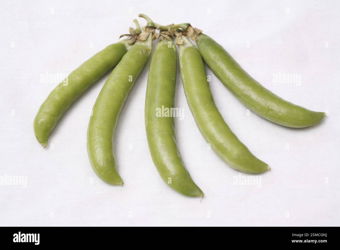 Vegetable, Green Pea pods Pisum sativum arranged as five fingers of ...