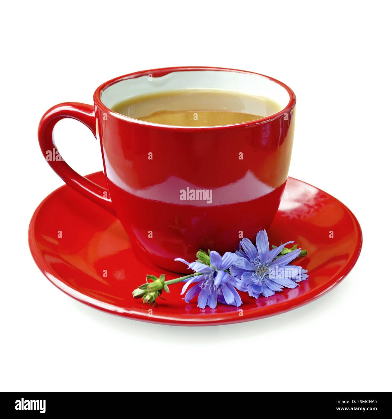 Chicory drink in a red cup with flower chicory on a saucer isolated on ...