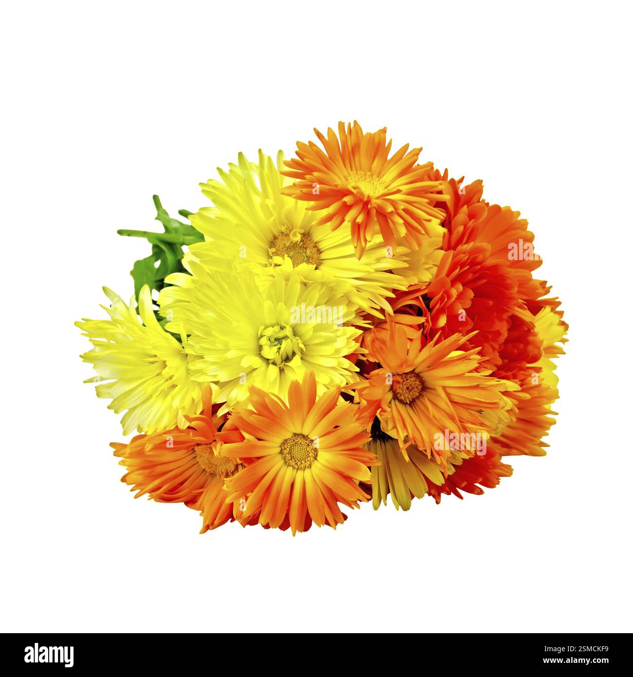 Bouquet of calendula flowers isolated on white background Stock Photo ...