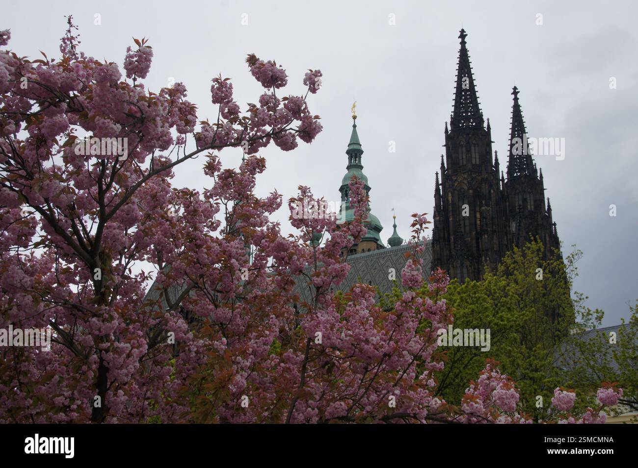 Prague Castle, a symbol of Czech history and culture, stands tall ...