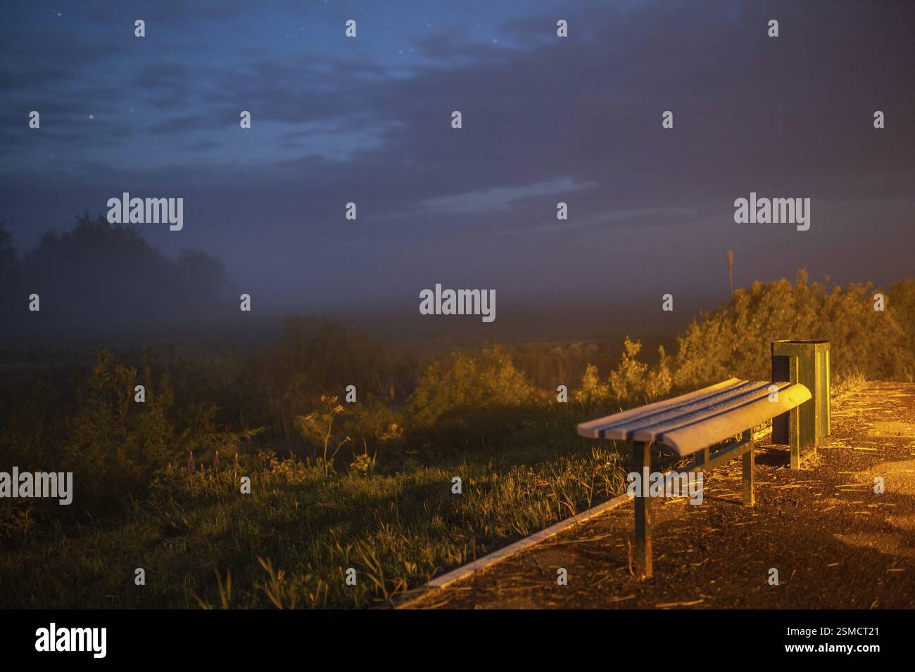 Foggy night scene with a park bench, pathway, and trees creating a ...