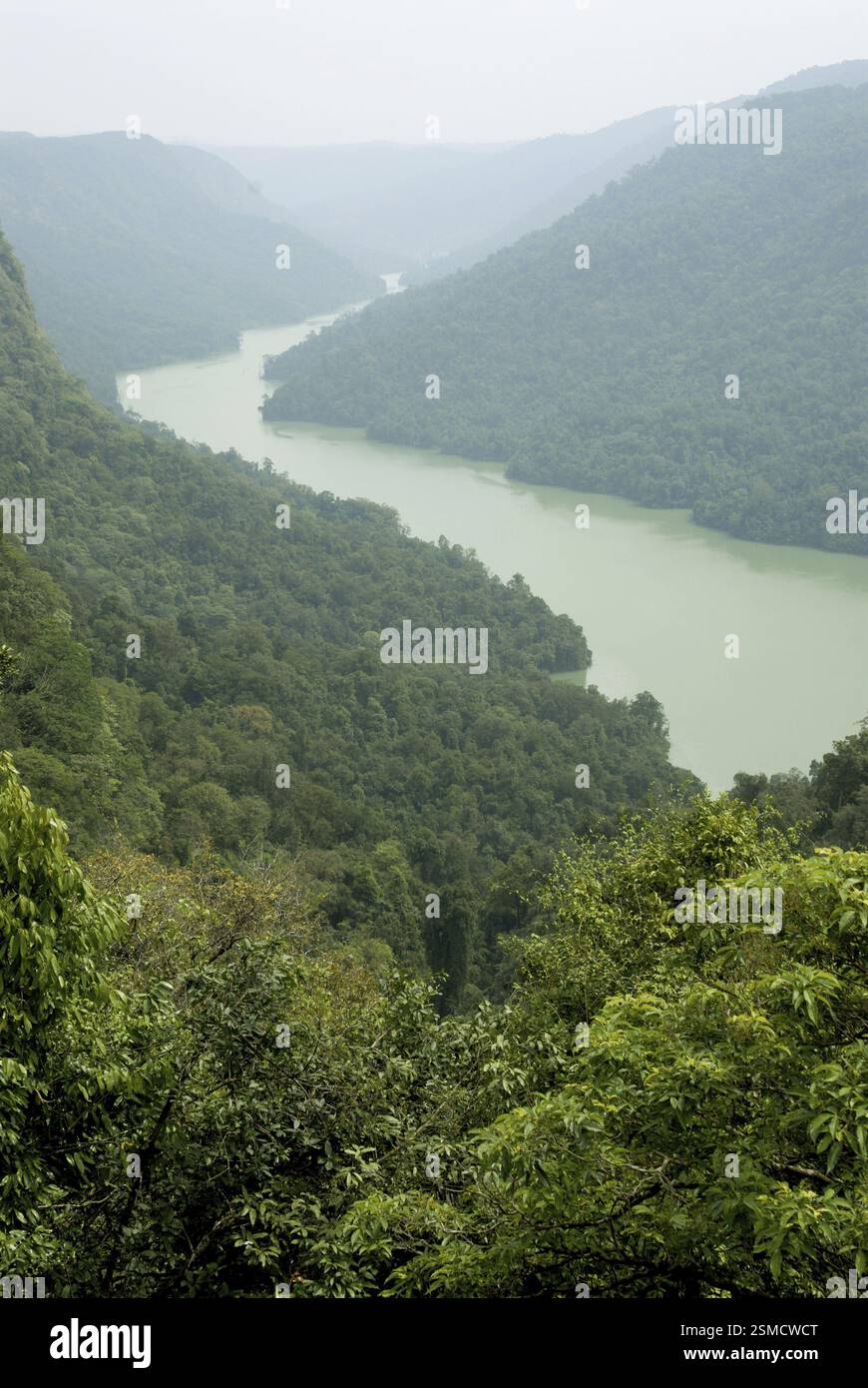 Aerial view of Sharavati river, District north Kanara, Karnataka, India ...