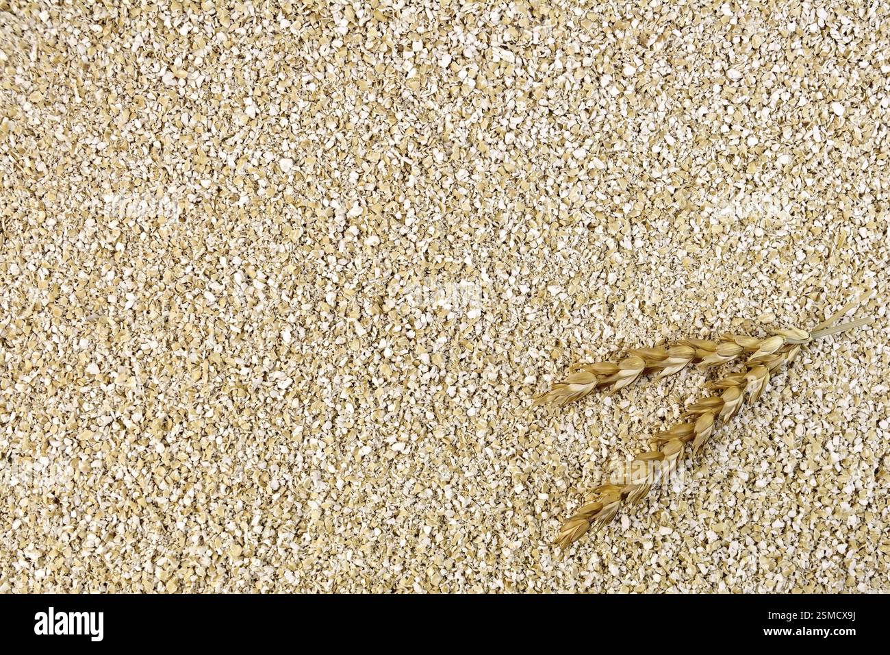 The texture of fine wheat bran with wheat spikelets Stock Photo - Alamy