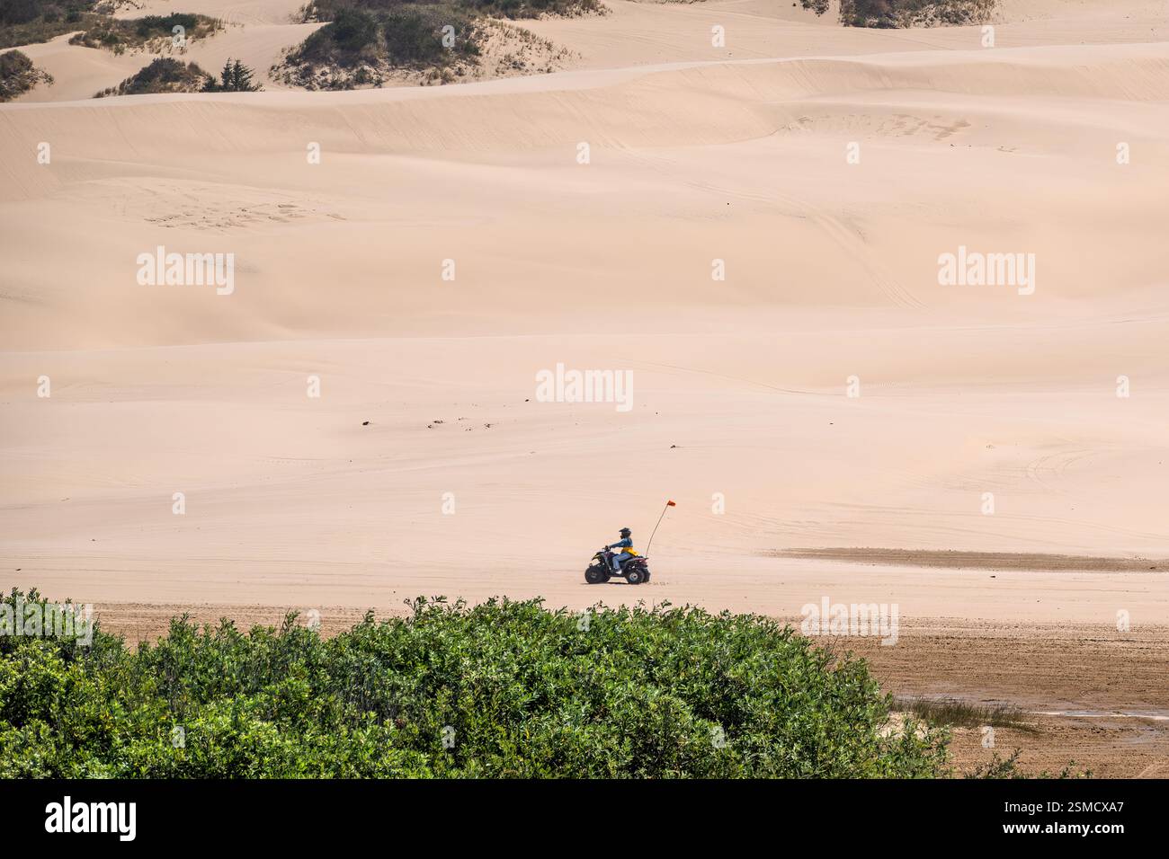 Oregon Dunes near Reedsport Oregon, USA Stock Photo - Alamy